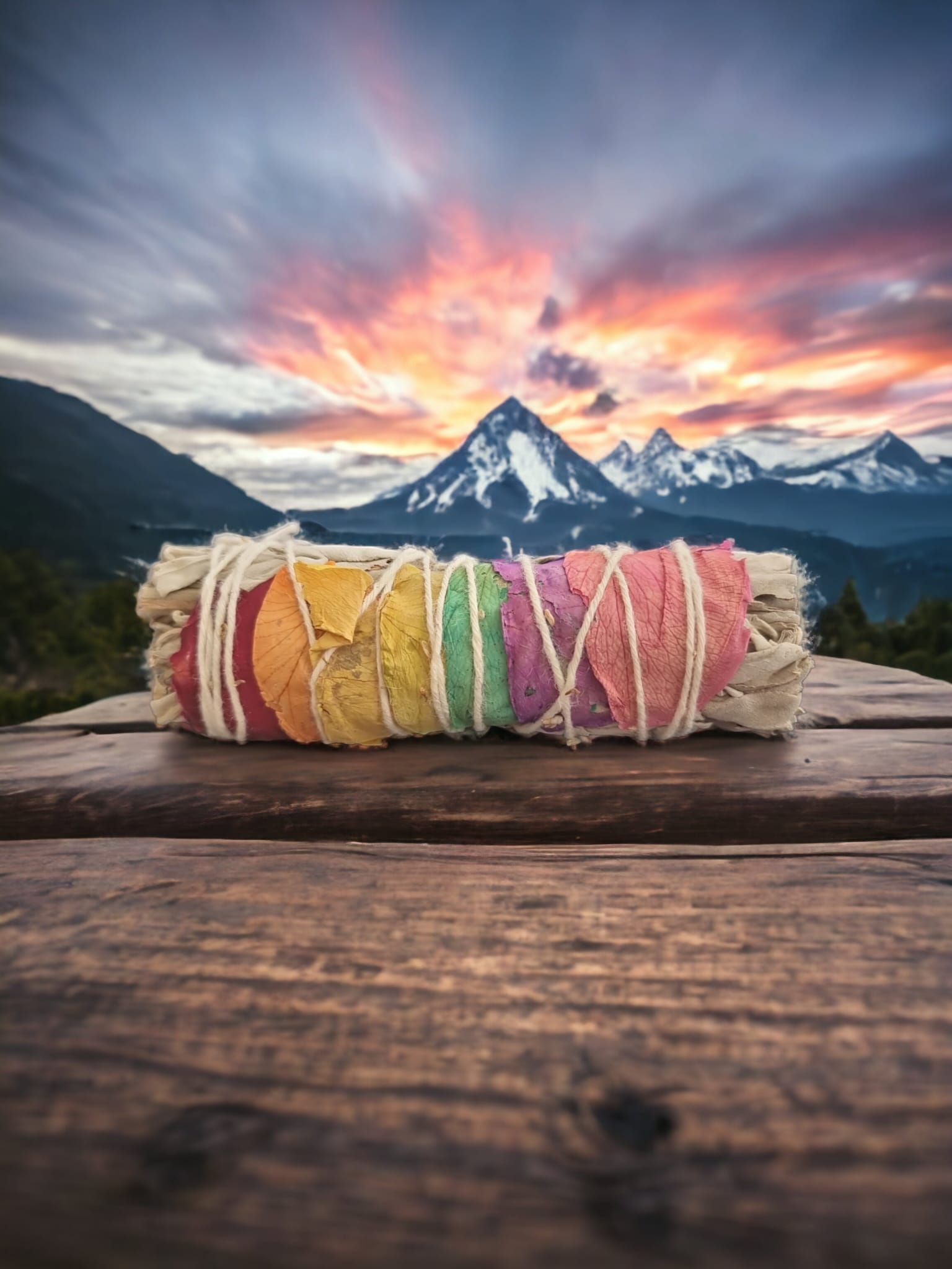 Smudge Stick - 7 Chakra White Sage 10cm | Auras Workshop